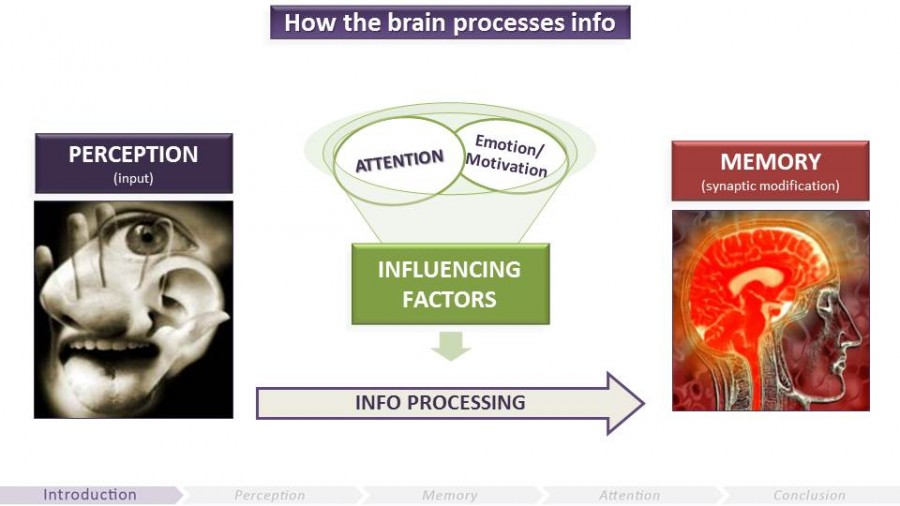 Gamer's Brain: Neuroscience, UX & Design by Celia Hodent