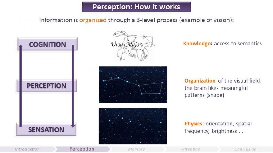 Gamer's Brain: Neuroscience, UX & Design by Celia Hodent